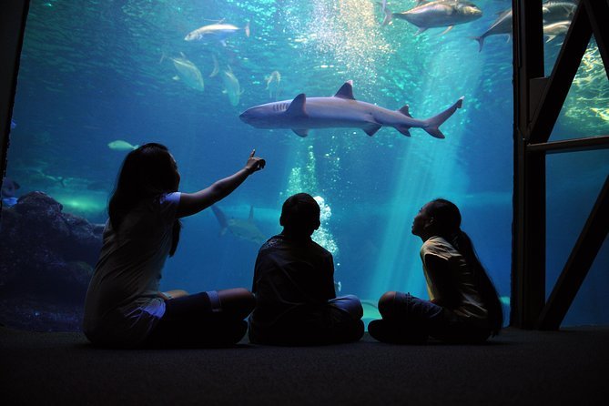 Maui Ocean Center: Discover the Wonders